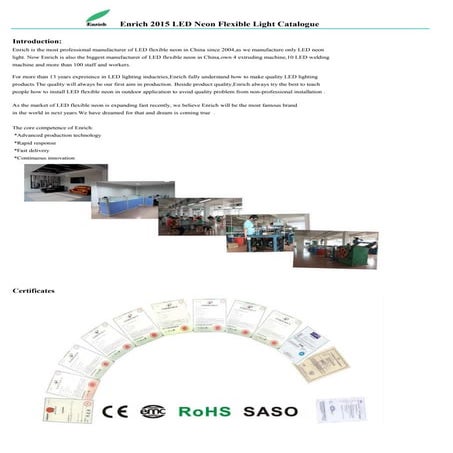 LED Neon strip | PDF