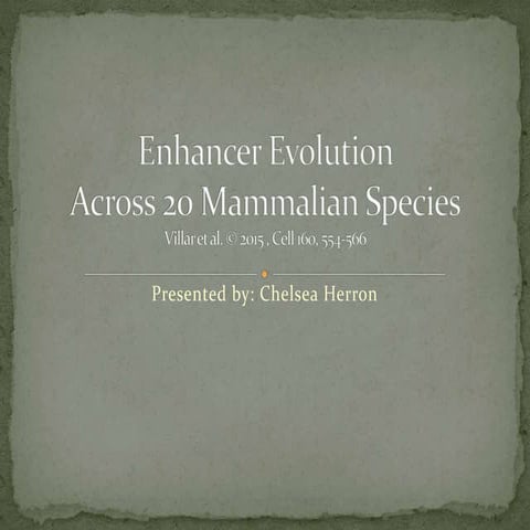 o) Powerpoint Enhancer Evolution Across 20 Mammalian Species | PPTX