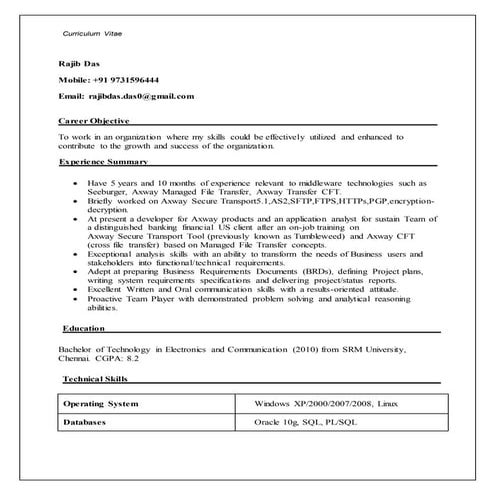 Rajib Das_resume | DOCX