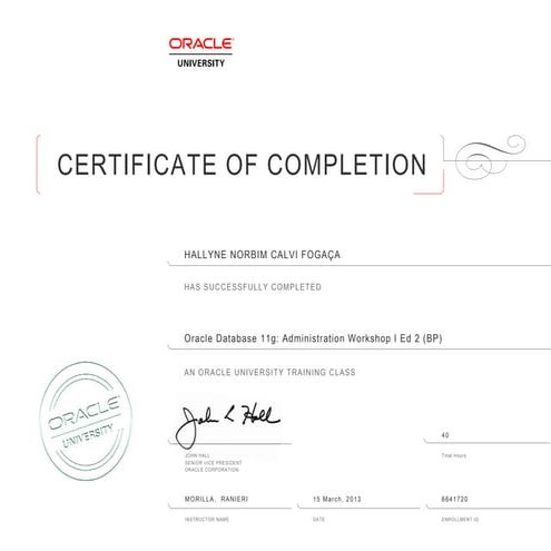 HALLYNE NORBIM CALVI FOGAÇA certificate | PDF