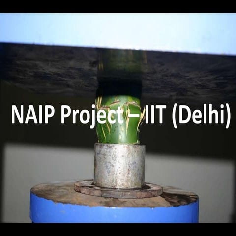 NAIP Project | PPTX