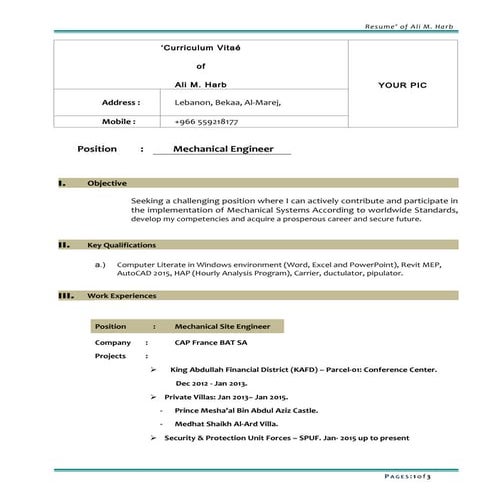 Ali Harb CV | PDF