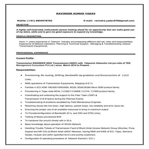 CV UAE | PDF