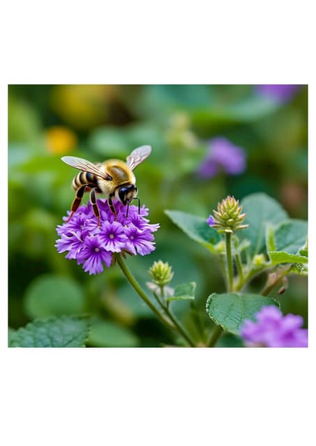 FOP bdhhd dbdb dhdbd dbdbdbdbdbdb (1).pptx