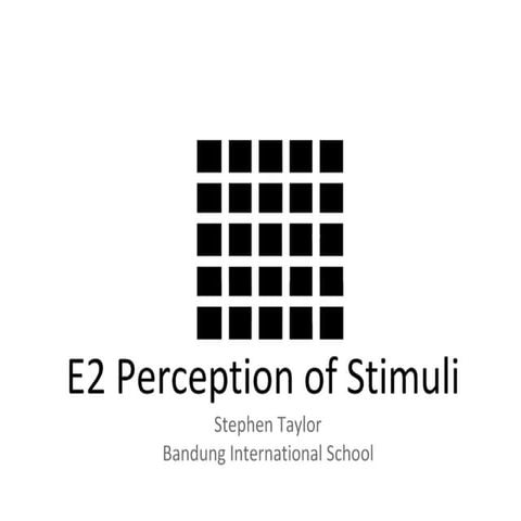E2 Perception Of Stimuli | PPTX | Eye and Vision Conditions | Diseases ...