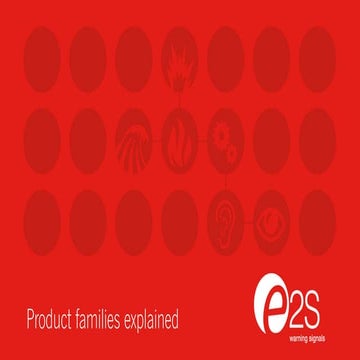 E2S product families explained | PDF
