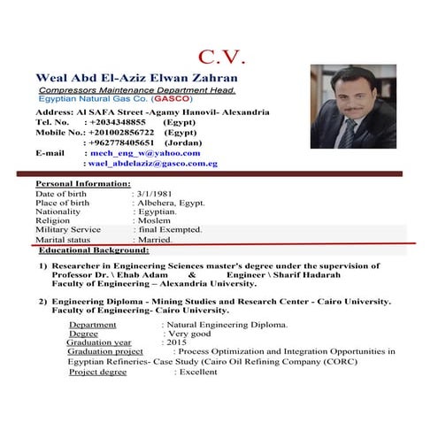 Wael zahran CV 8- 2016 | PDF