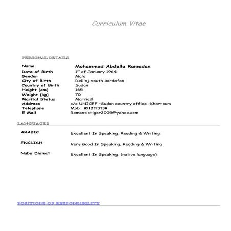 Mohamed Ramadan CV1 (2) | PDF