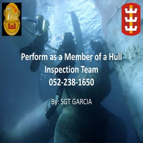 hull inspection class | PPTX