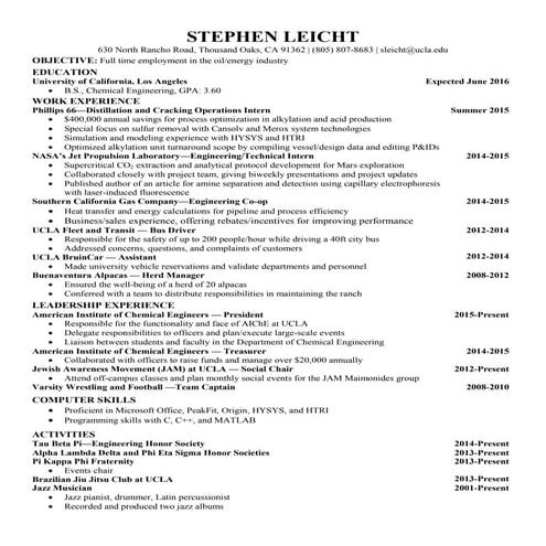 Resume Victor Heinen | PDF