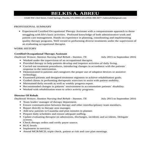 AEP Professional Resume | DOCX