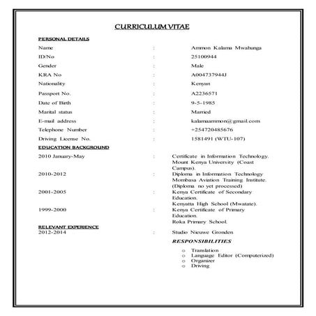 Revised CV gmail | PDF