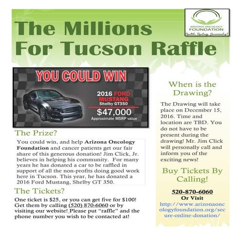 Millions For Tucson Raffle PDF | PDF