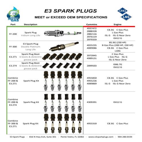 E3 Natural Gas Ignition Products | PDF