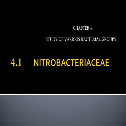 Nitrobacteriaceae & Pseudomonas | PPT