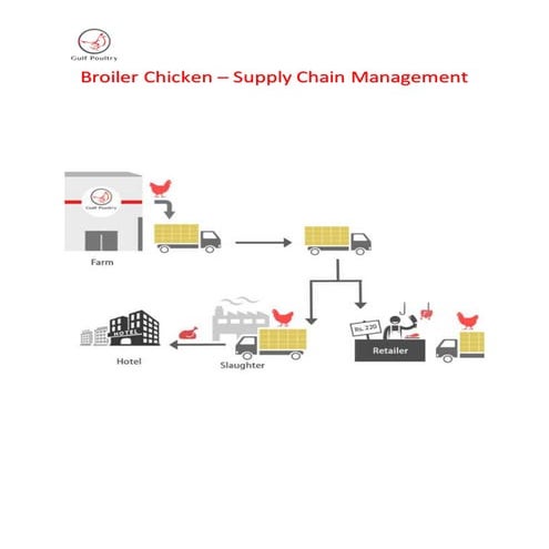 Chicken-Supply_Chain_Management | DOCX