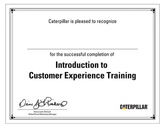 CAT PPAP certification | PDF