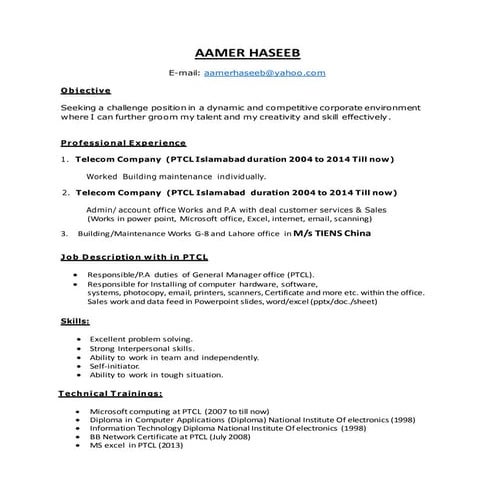 Amer CV | PDF