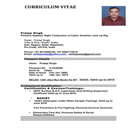 Pratap's new CV 2015 new | PDF