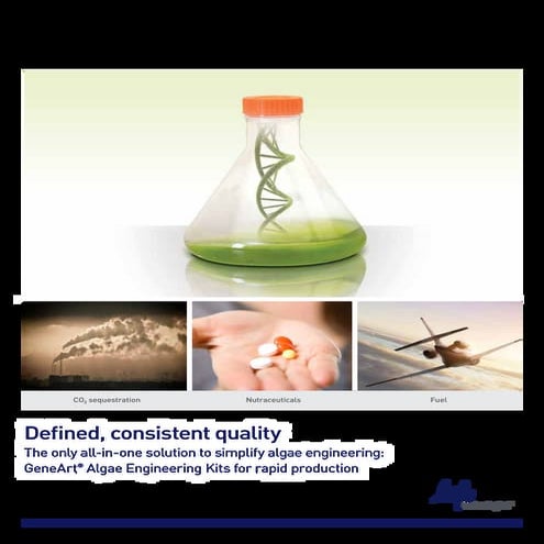 Brochure Algae Engineering Kits | PDF