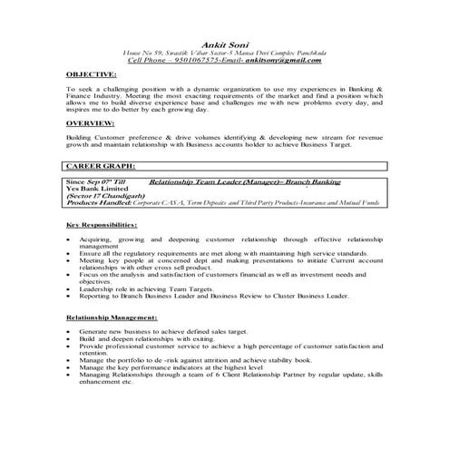 Job description Branch Manager | PDF