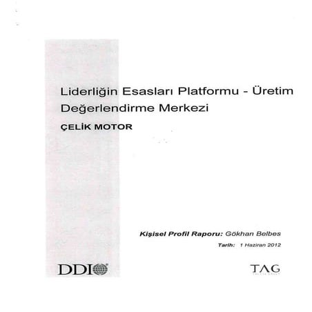 PERSONAL PROFILE ANALYSIS | PDF