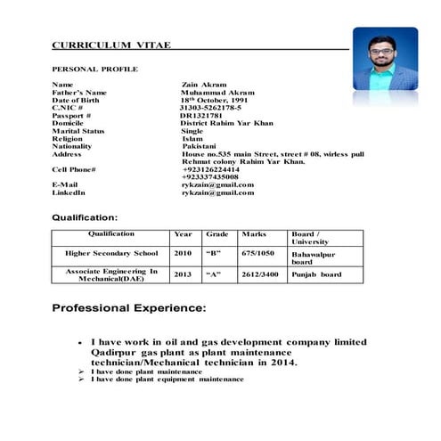zain cv-02 | DOCX | Careers
