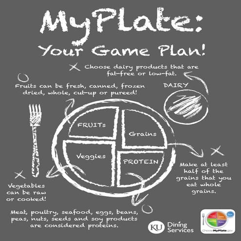 Transitional diet flyer | PDF