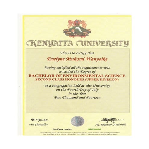 Bachelor's Degree Certificate | PDF