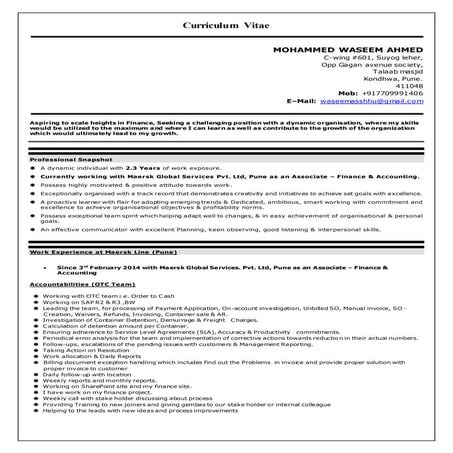 waseem resume | DOCX