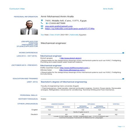 Amir Arafa CV | PDF
