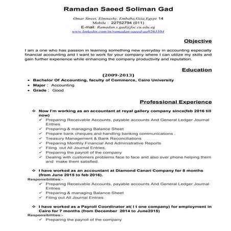 C.V_ramadan_saeed.doc