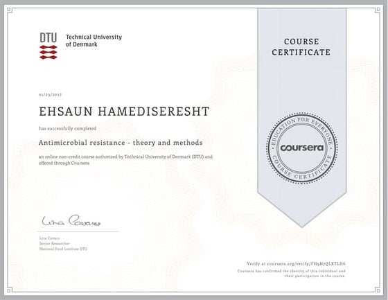 C.V. justin cotto | PDF