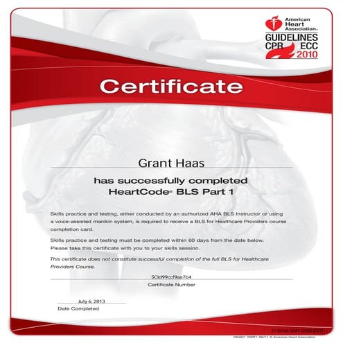 AHA BLS HeartCode | PDF | Heart and Cardiovascular Diseases | Diseases ...