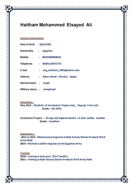 Mahmoud Essam Mahmoud Mohamed-2 | PDF