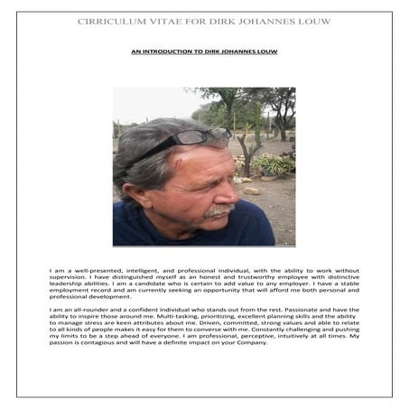 Dirk Louw - CV | PDF