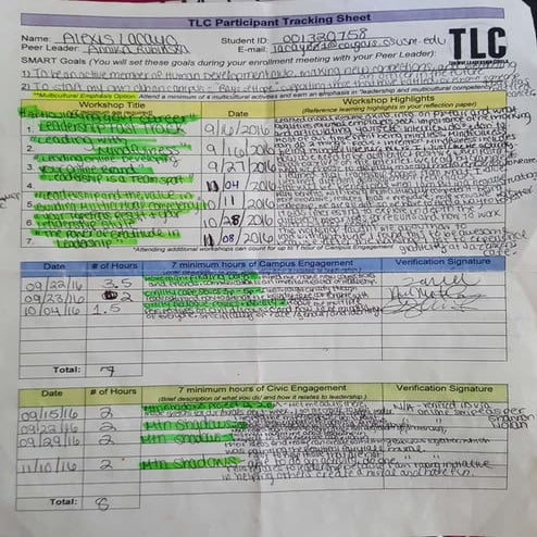 TLCTrackingSheet | PDF