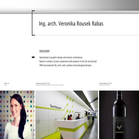 V_Rousek_Rabas_design | PDF | Business | Business and Finance