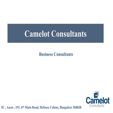Camelot Consultants 2015 | PDF
