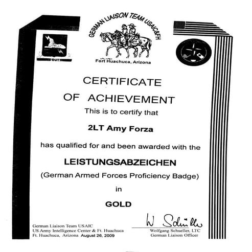 GAFPB (Gold) Amy Forza | PDF