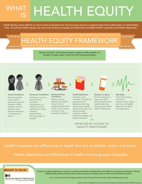 What Affects Achieving Health Equity_2 | PDF