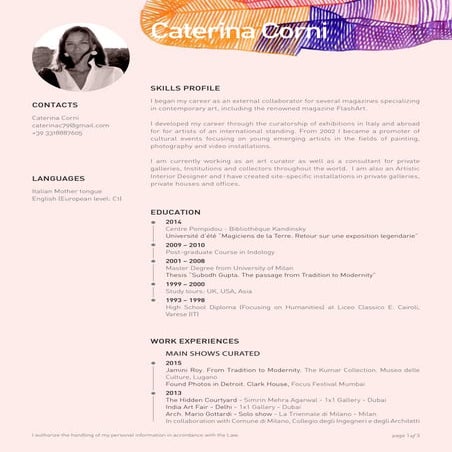 CV_CORNI | PDF | Museums & Galleries | Attractions