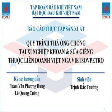 Trịnh Đắc Trường_K2KKT_Slides BCTT | PPTX