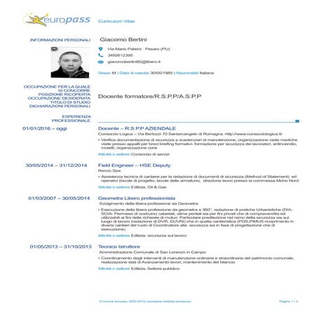 CV-Alessandro Bertini | PDF