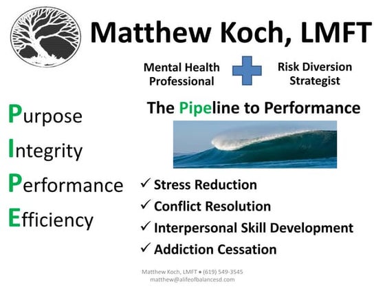 M Koch - Professional Overview.pdf