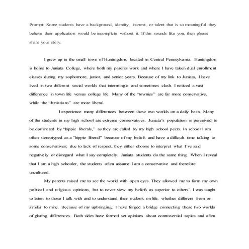 Common Application essay | DOCX