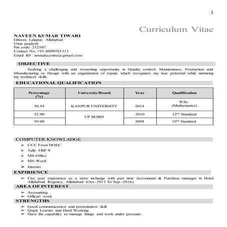 Naveen CV (2) | DOCX