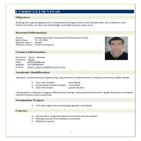 Moahmed Gaber cv2(4) | PDF