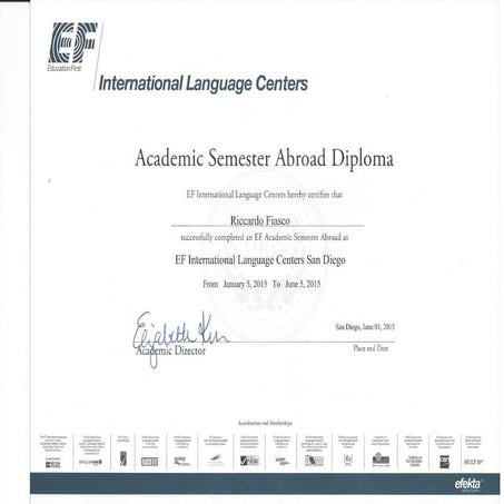 Language Diploma 1 | PDF