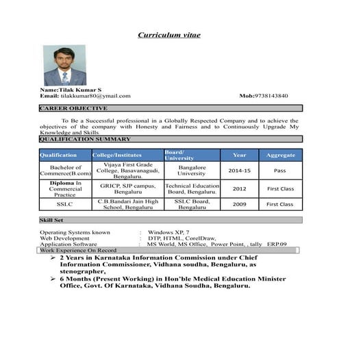 Resumes (3) | DOC | Technology & Computing